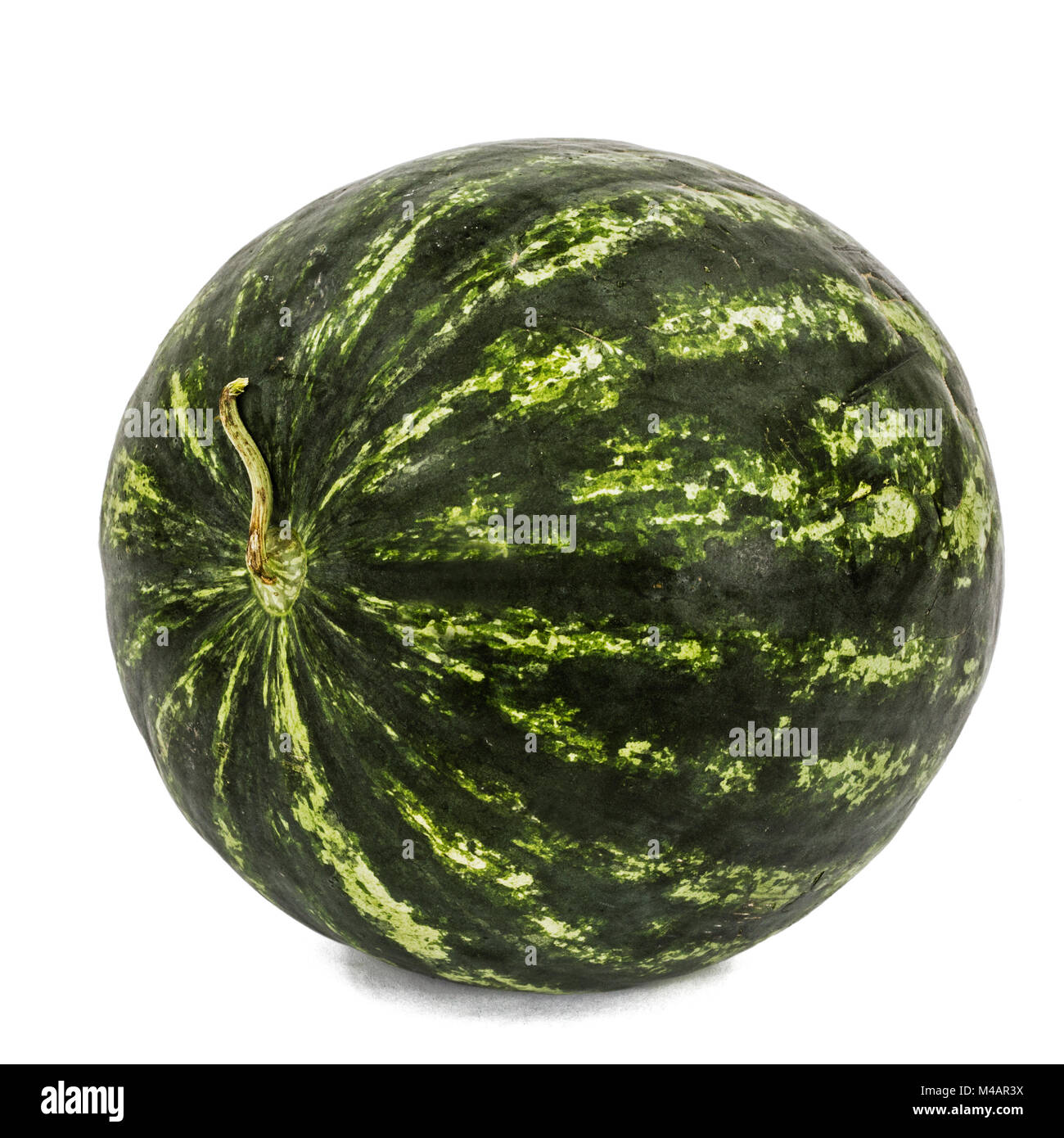 Big striped watermelon, isolated on white background Stock Photo - Alamy