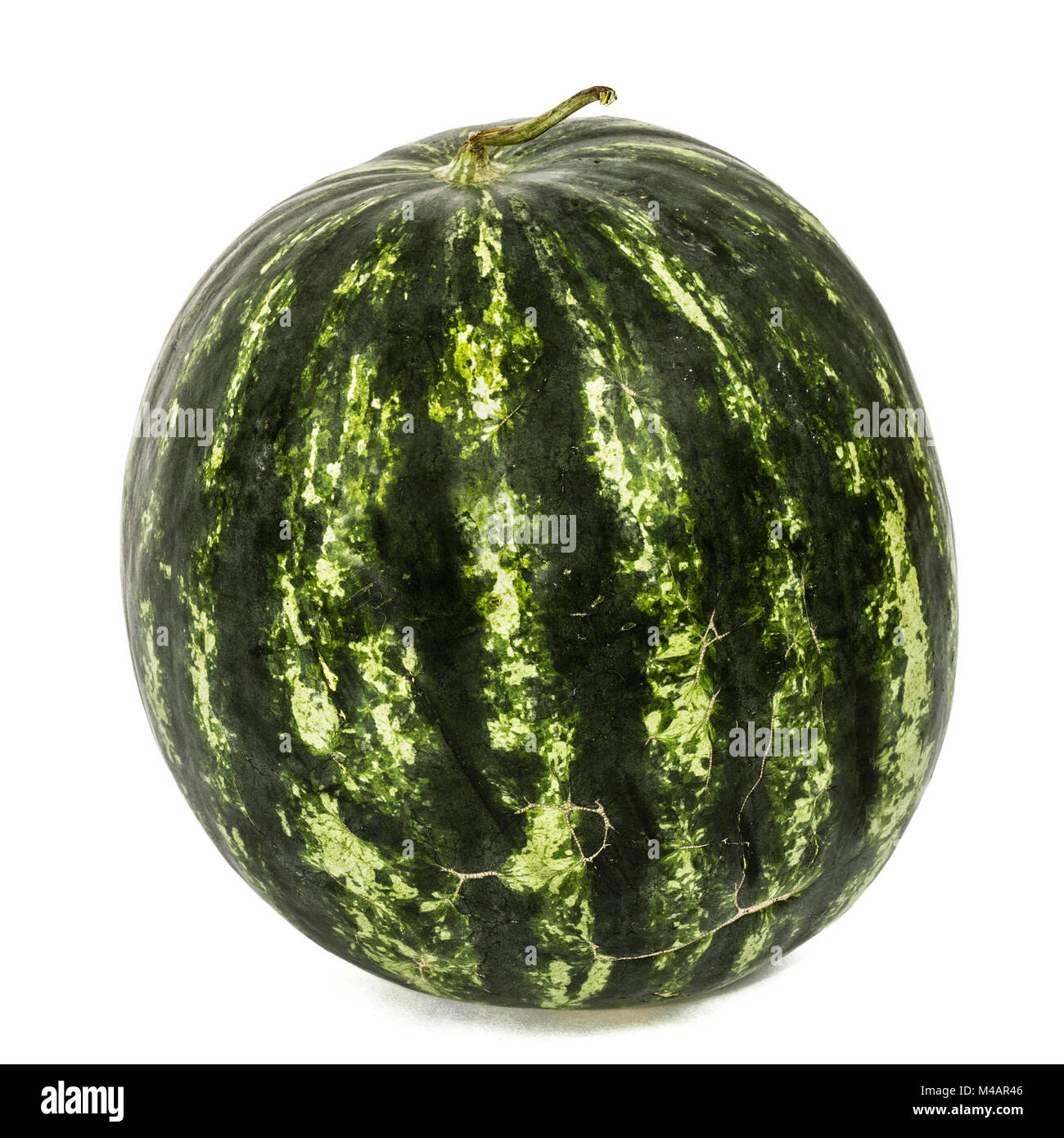 Big striped watermelon, isolated on white background Stock Photo - Alamy