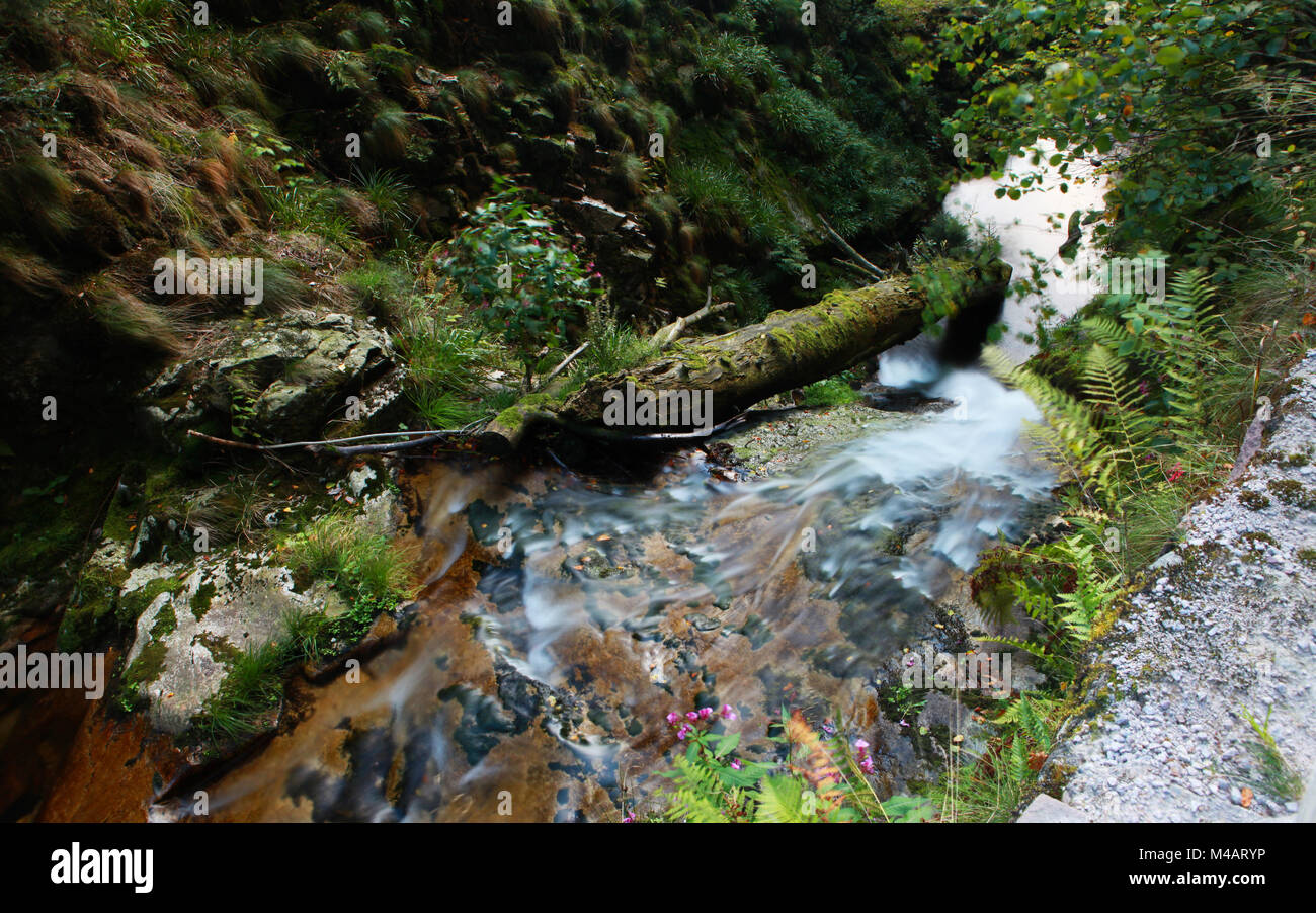 River down hi-res stock photography and images - Alamy