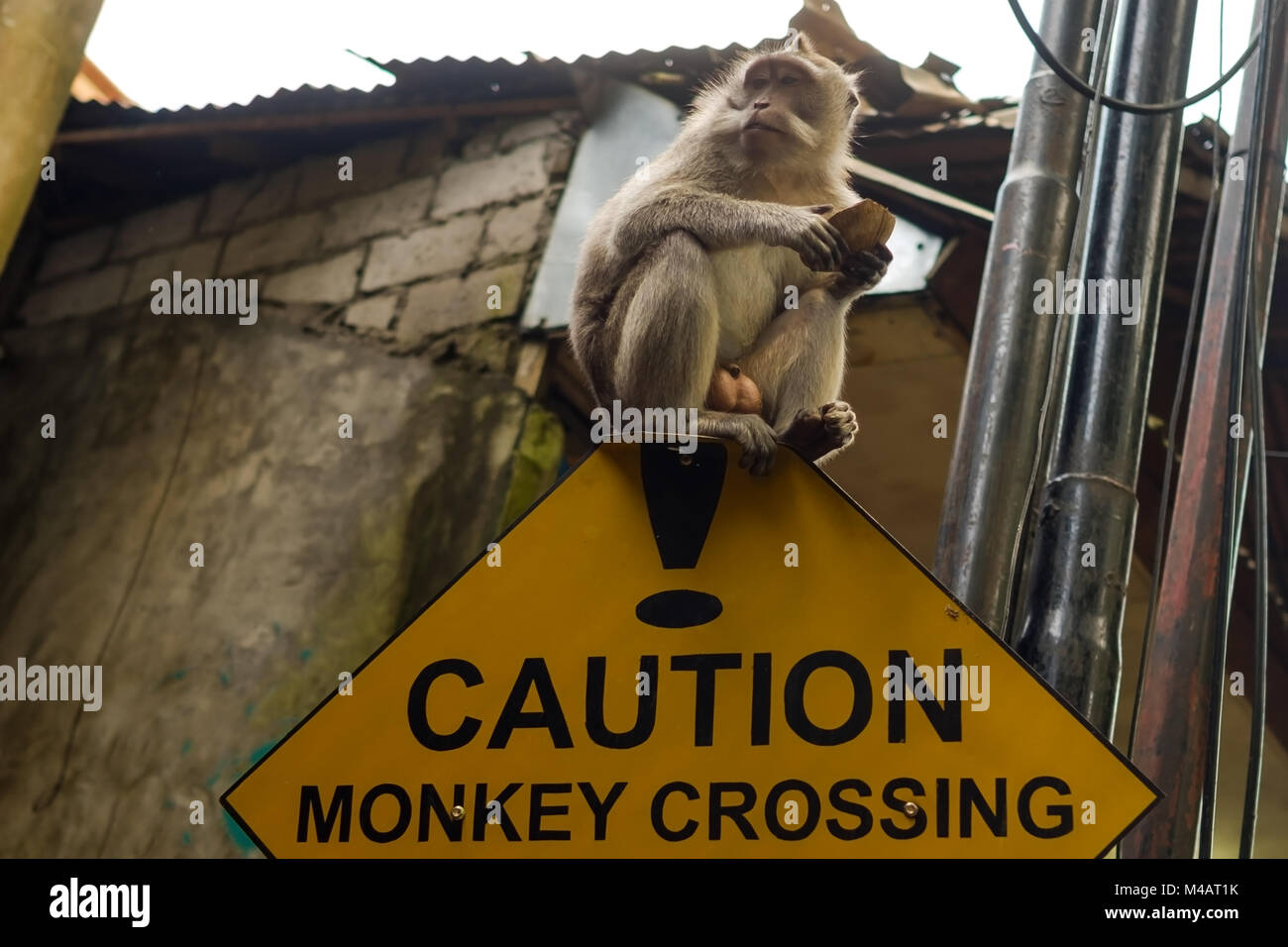 Monkey park sign hi-res stock photography and images - Alamy