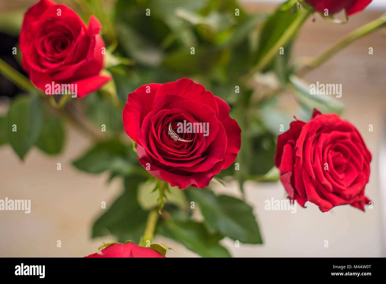 Diamond ring with beautiful red roses Stock Photo - Alamy