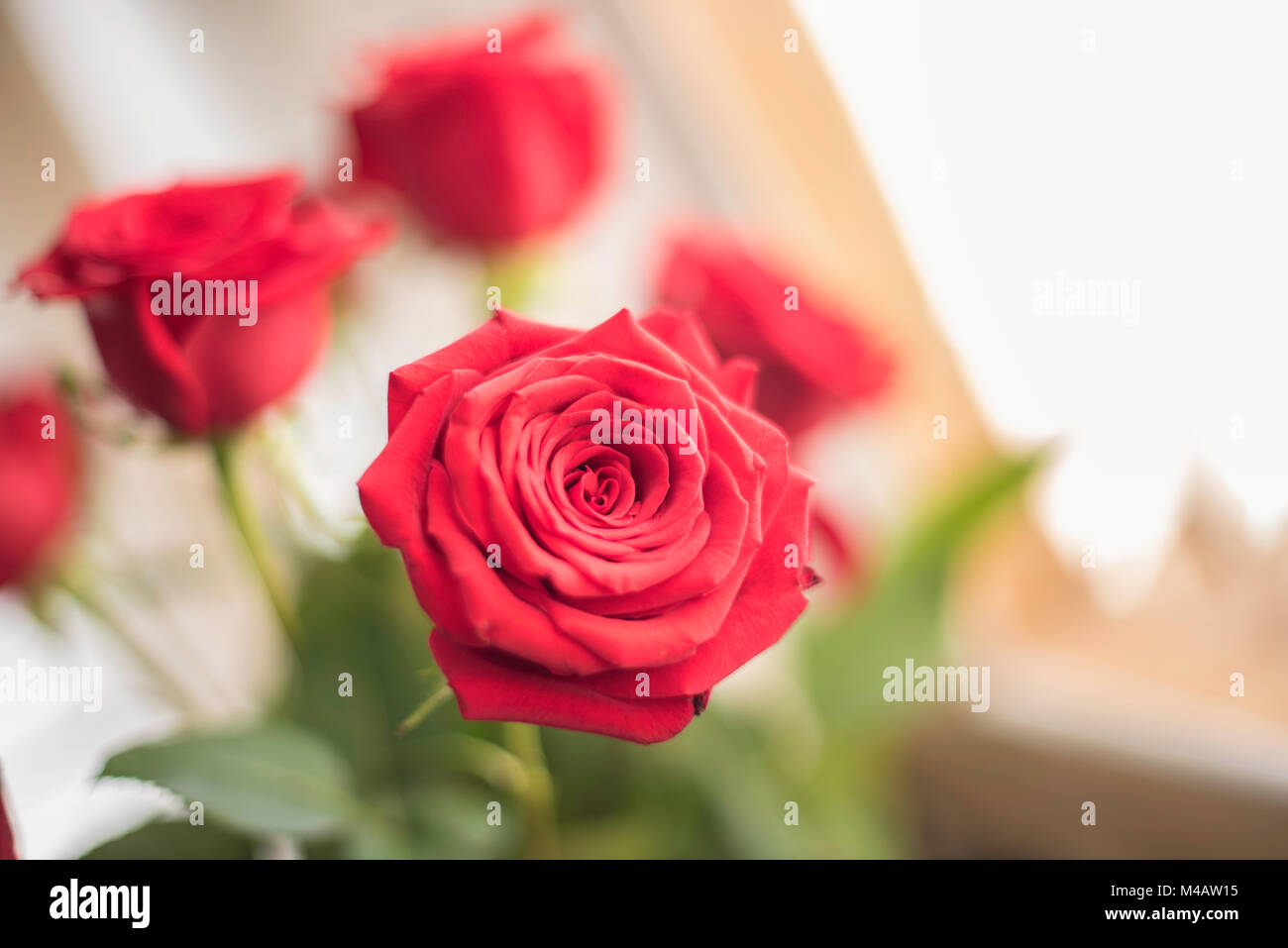 Diamond ring with beautiful red roses Stock Photo - Alamy