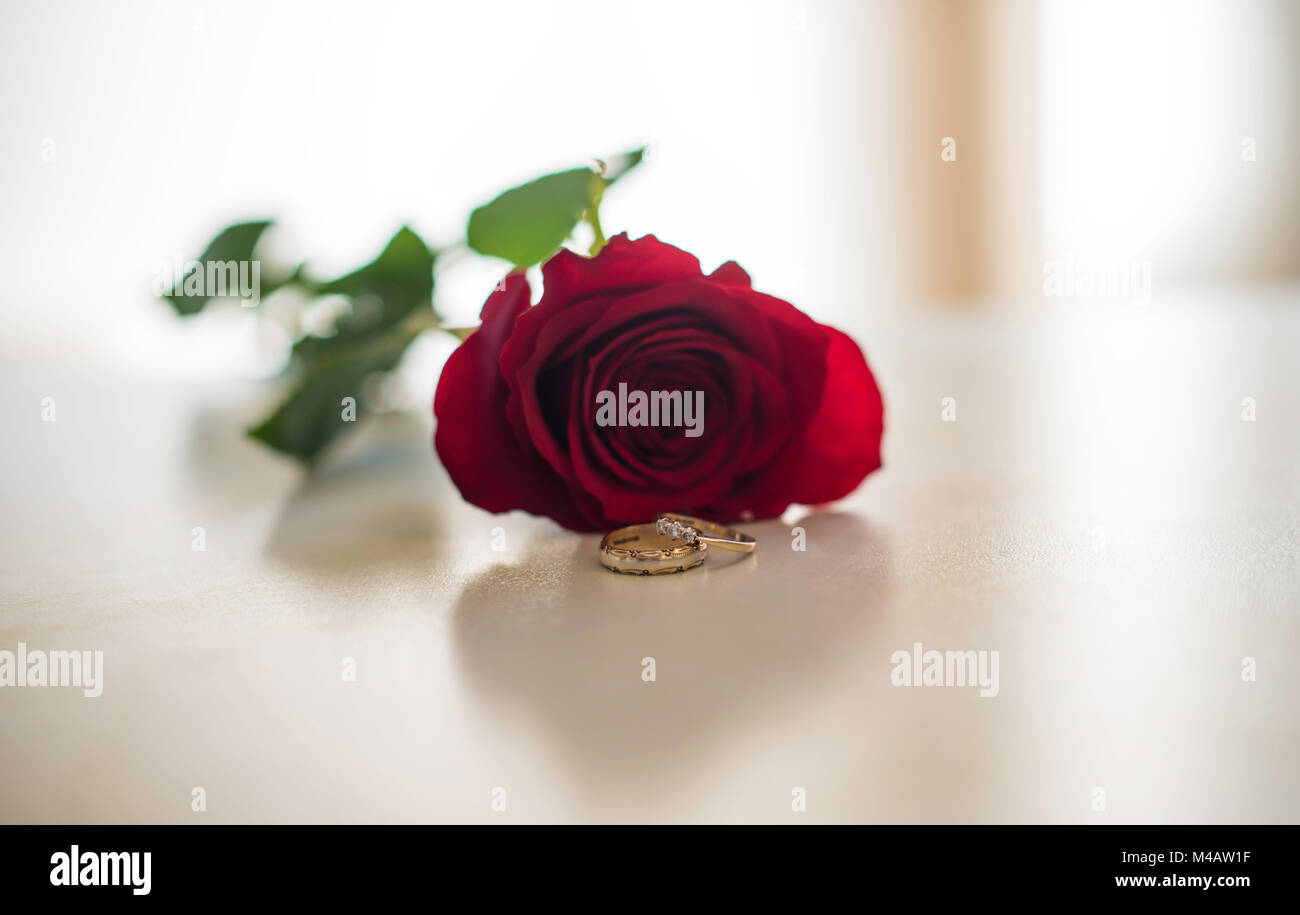 Diamond ring with beautiful red roses Stock Photo - Alamy