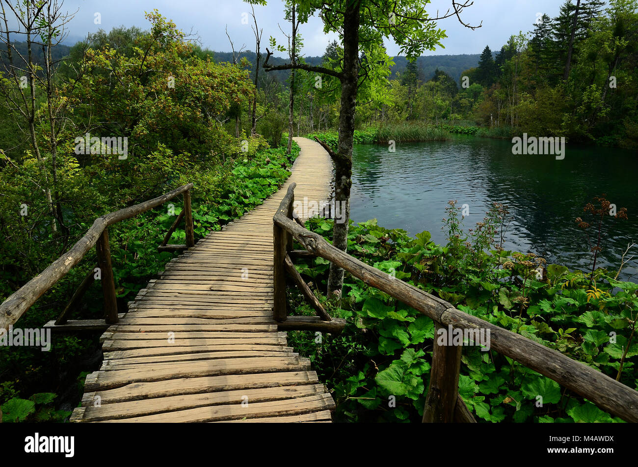 Planked footpath hi-res stock photography and images - Alamy