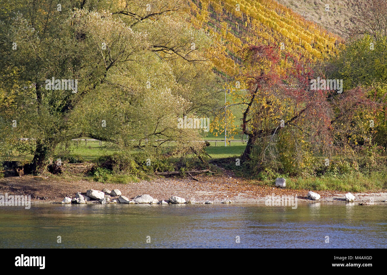 Left bank of rhine hi-res stock photography and images - Alamy