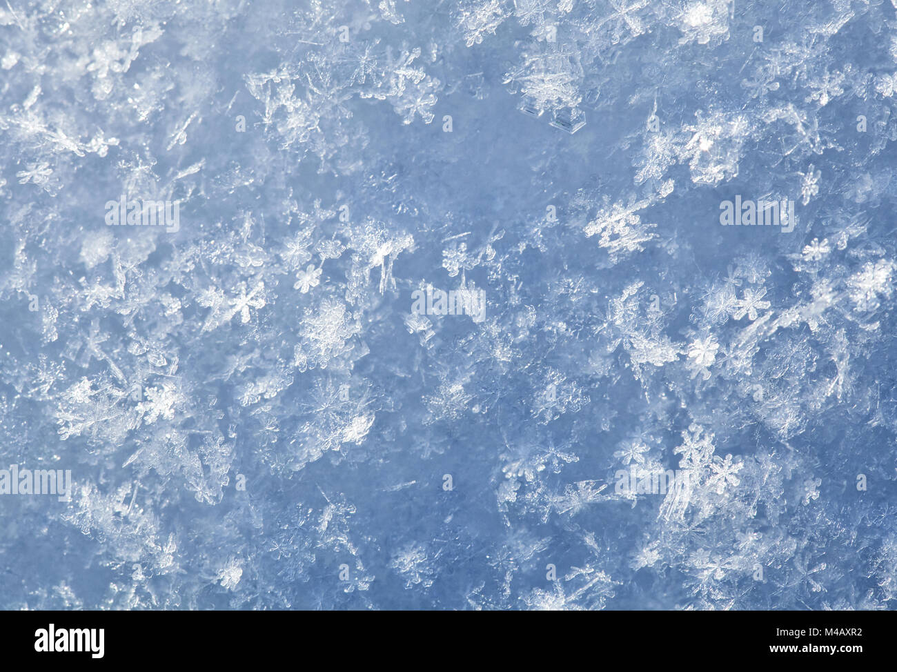Snow texture, macro Stock Photo - Alamy