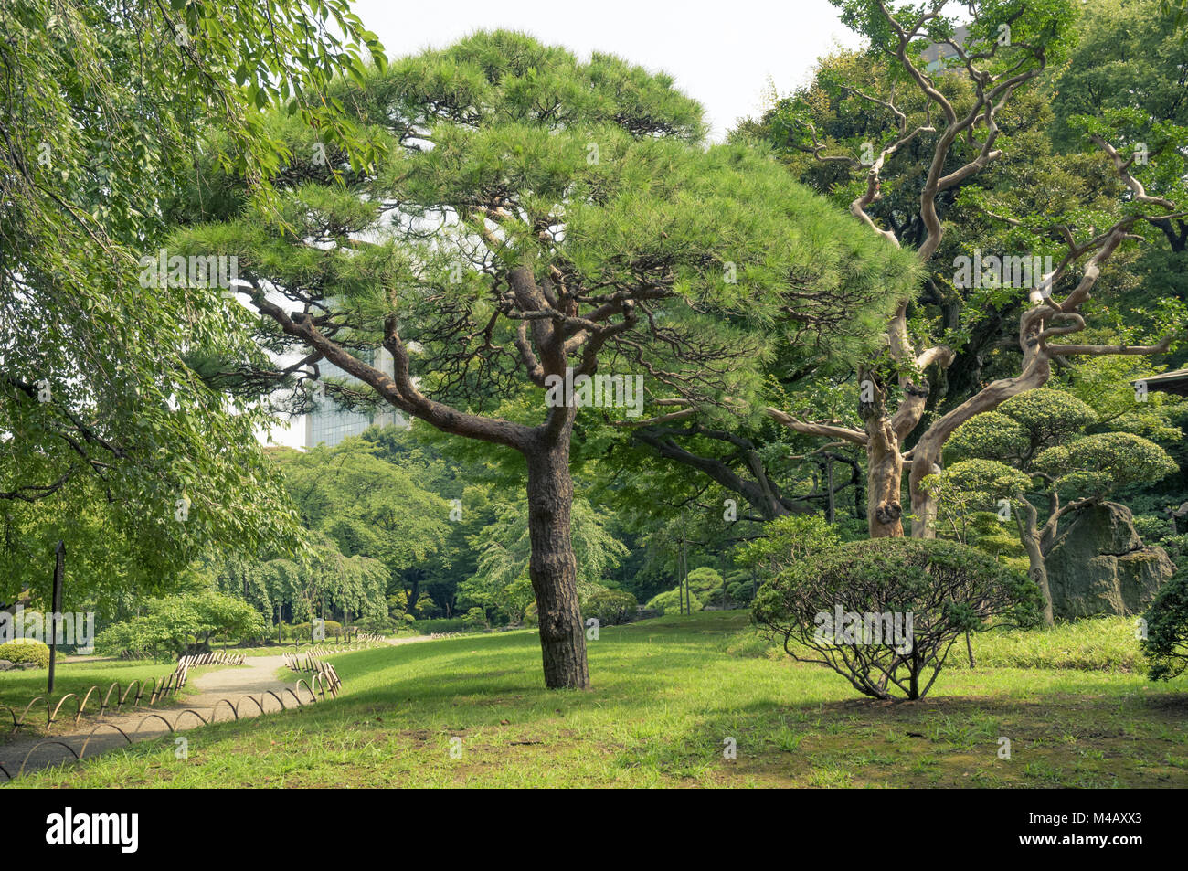 Tradition japanese park hi-res stock photography and images - Alamy