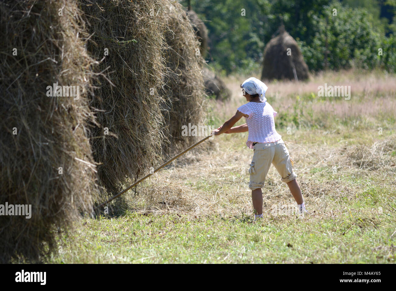 Lugy hi-res stock photography and images - Alamy