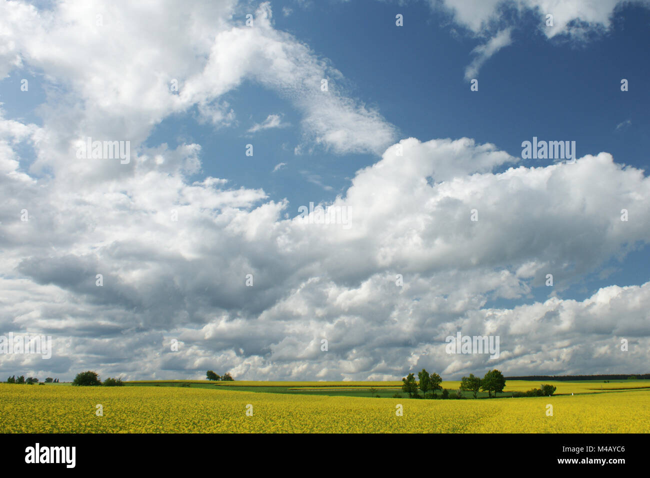 Yellow fields hi-res stock photography and images - Alamy