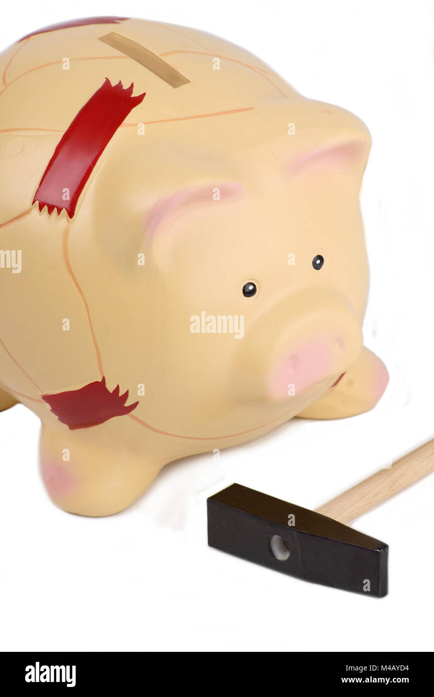 Pig with pavement Stock Photo - Alamy