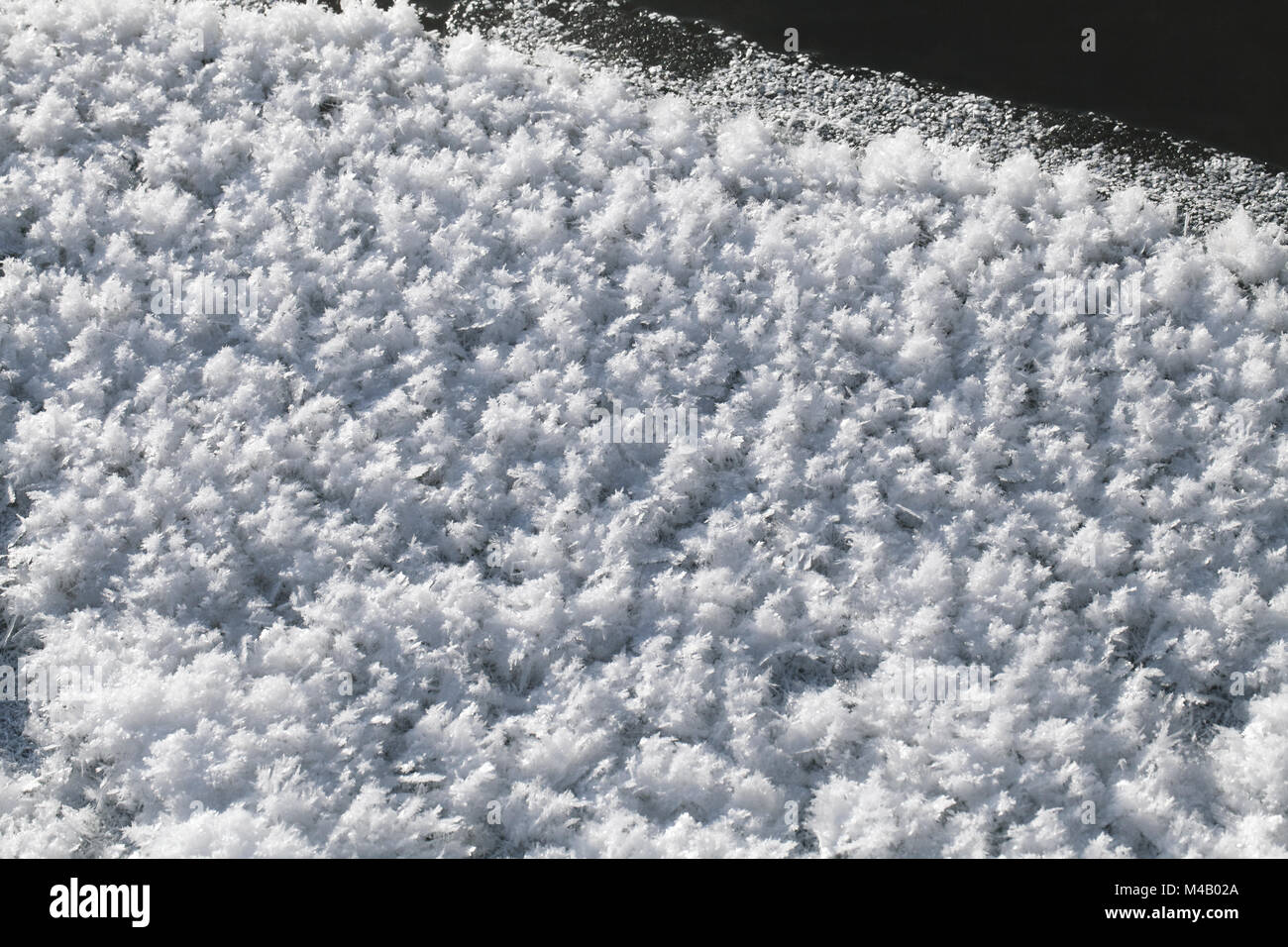 Snow crystals on the ground Stock Photo - Alamy