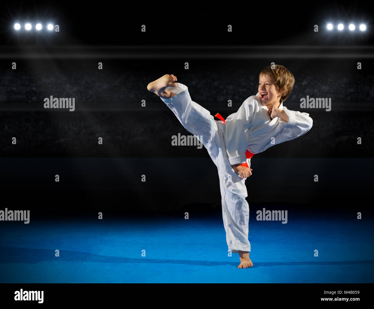 Little boy martial arts fighter in sports hall Stock Photo - Alamy