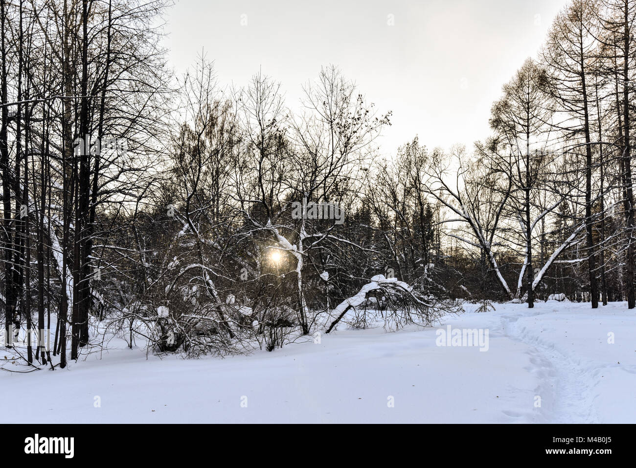 City in winter setting hi-res stock photography and images - Alamy