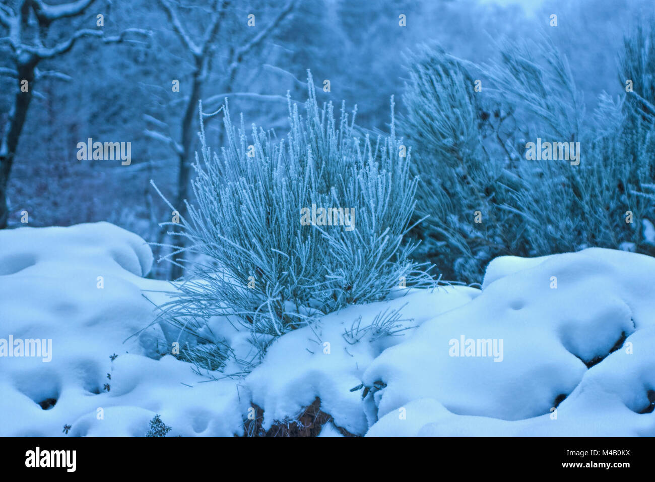 Broom snow garden hi-res stock photography and images - Alamy