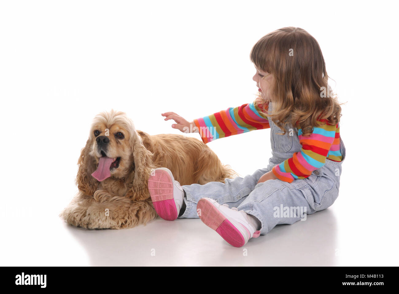 beauty a little girl and American Cocker Spaniel Stock Photo - Alamy