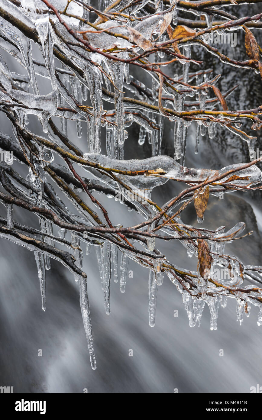 Icicles in a creek, Lapland, Sweden Stock Photo - Alamy