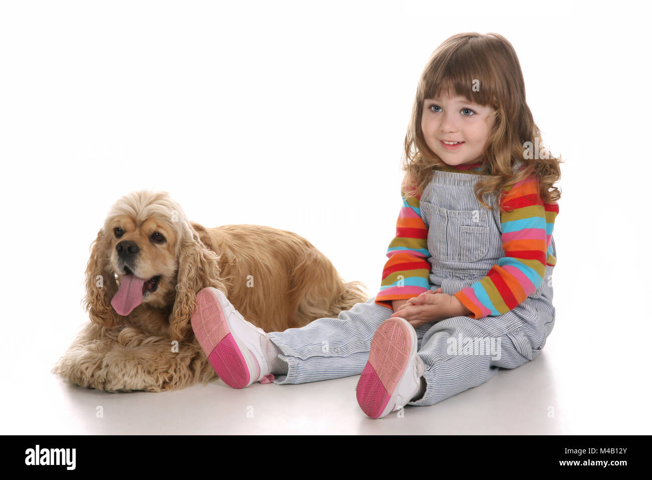 beauty a little girl and American Cocker Spaniel Stock Photo - Alamy