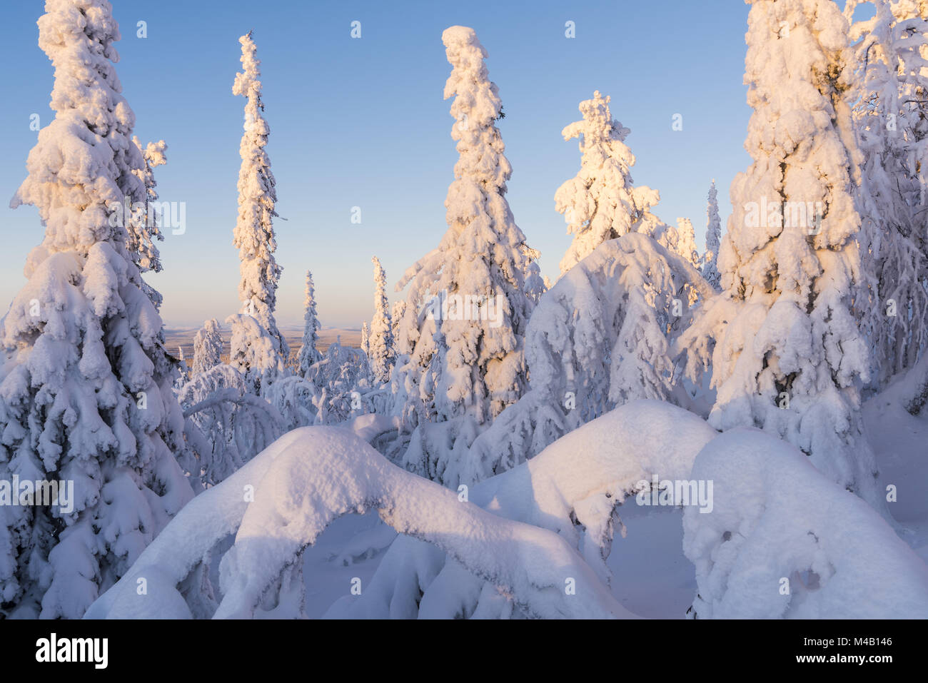 Winter landscape, Lapland, Sweden Stock Photo - Alamy