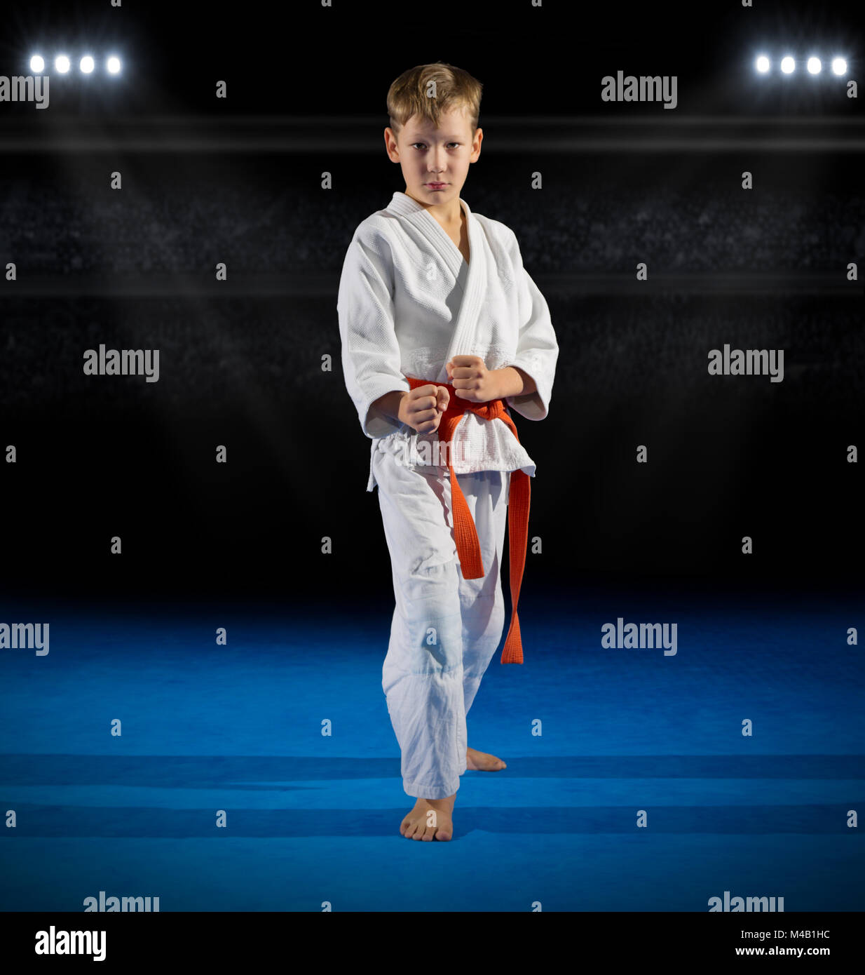 Little boy martial arts fighter in sports hall Stock Photo - Alamy
