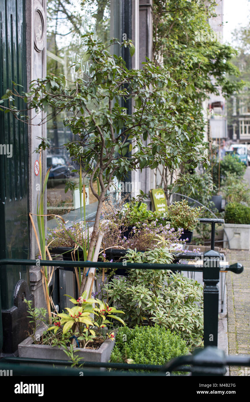 Amsterdam garden hi-res stock photography and images - Alamy