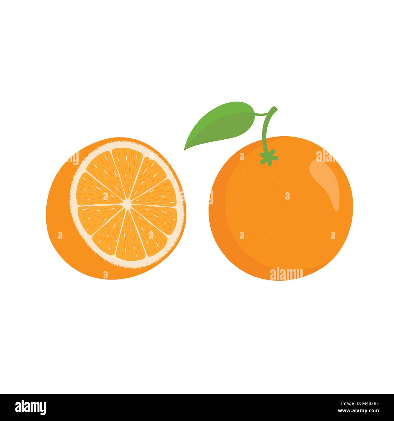 Oranges orange slice, half cut orange and front view of cut ripe orange ...