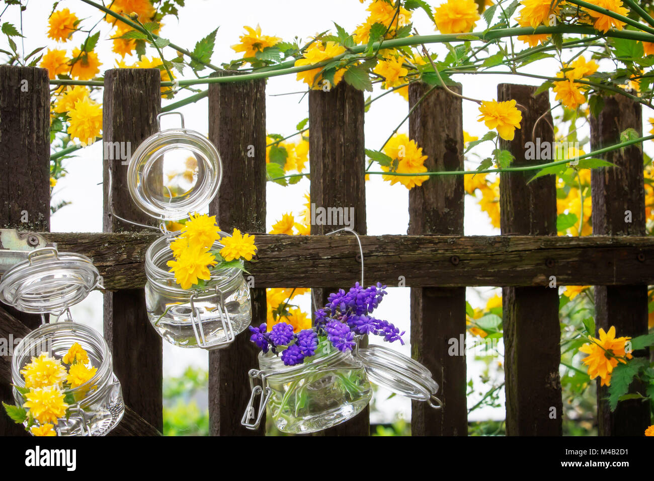 Garden fence hi-res stock photography and images - Alamy