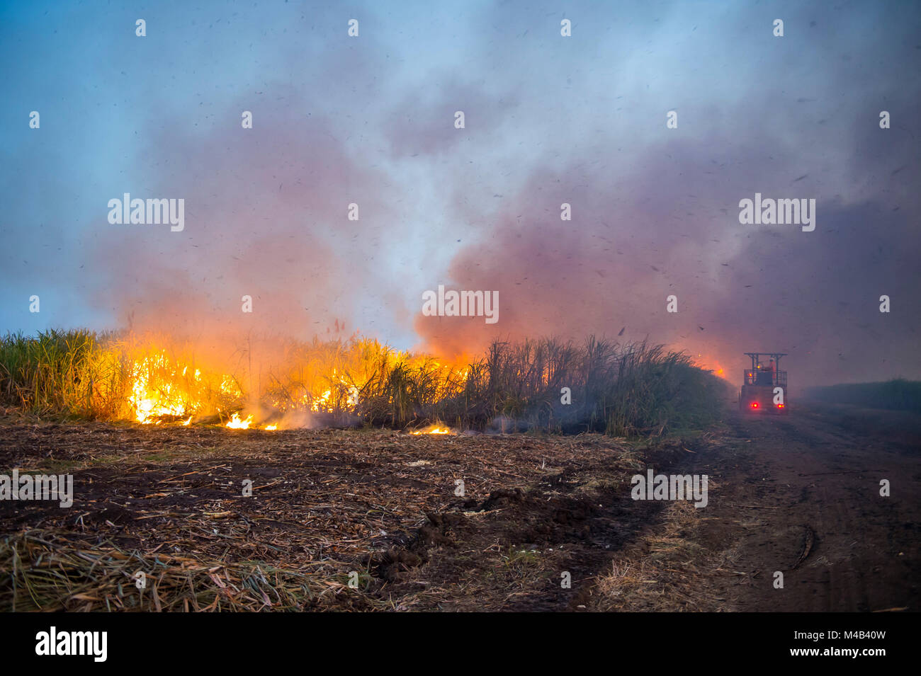Nchalo sugar estate malawi hi-res stock photography and images - Alamy