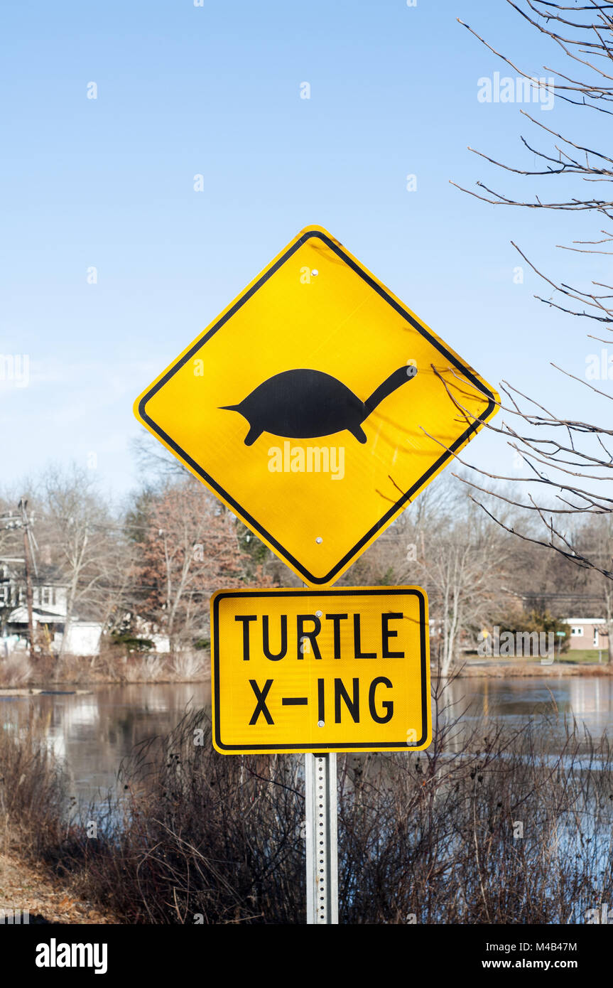 Turtle crossing road sign hi-res stock photography and images - Alamy