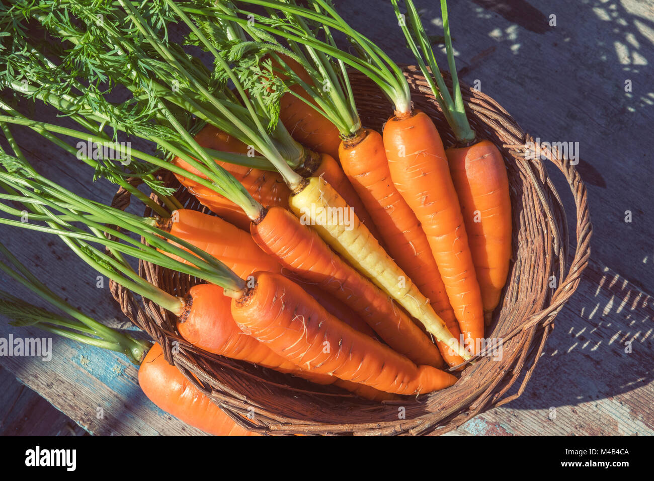 Freshly carrots hi-res stock photography and images - Alamy