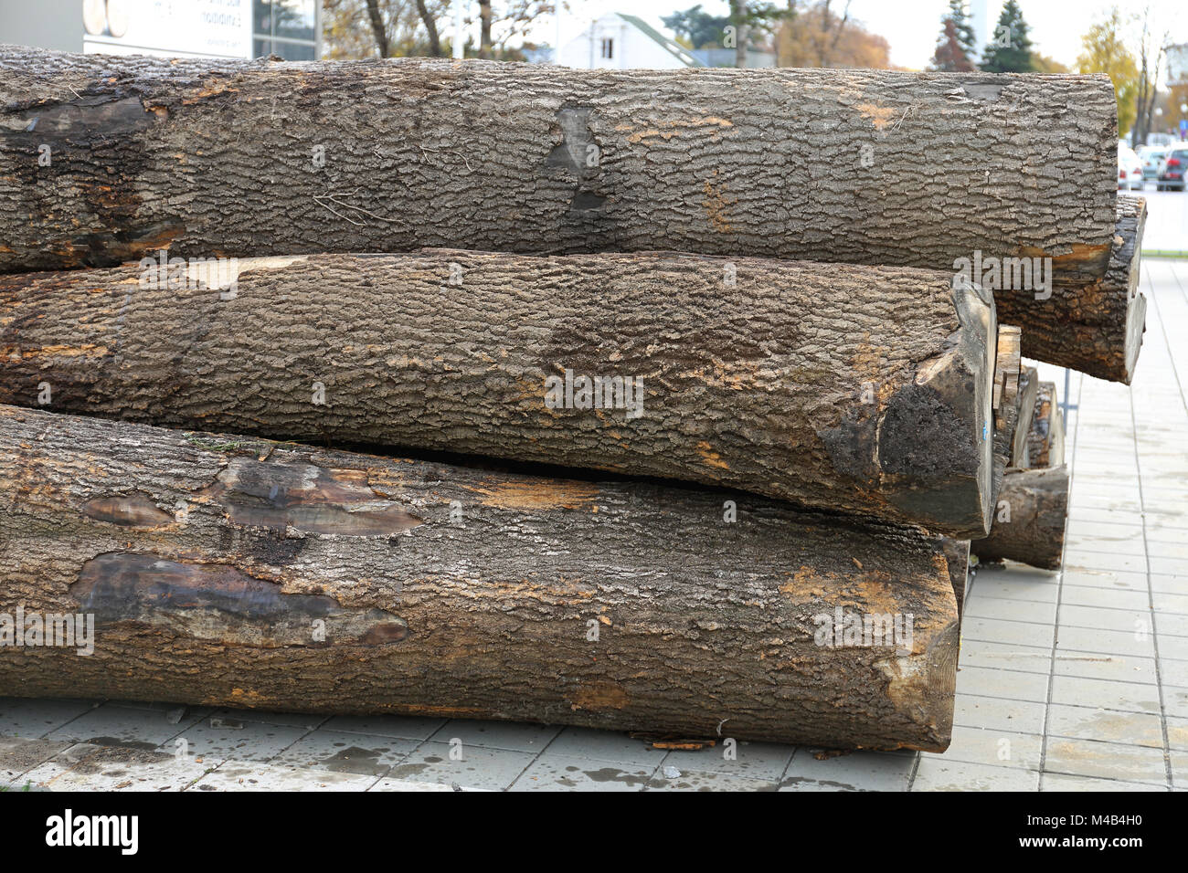 Big pile of wood hi-res stock photography and images - Alamy