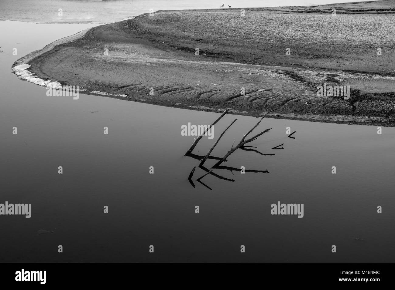 Sand Bank in Old Rhine in Winter Stock Photo - Alamy