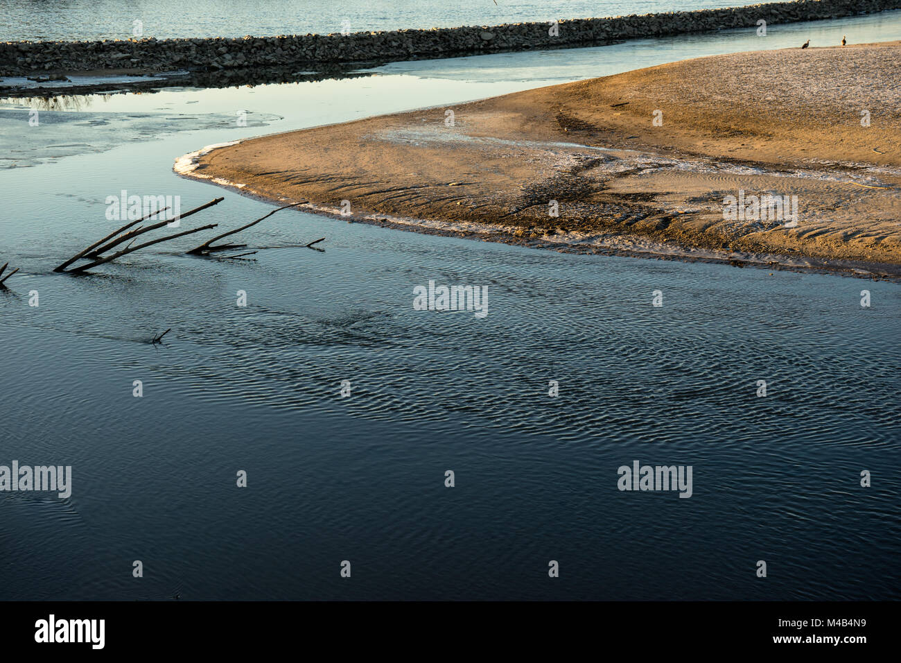 Sand Bank in Old Rhine in Winter Stock Photo - Alamy