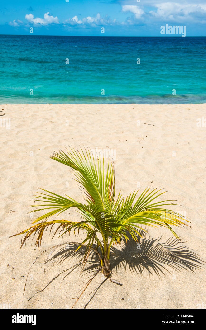 Caribbean magazine hi-res stock photography and images - Alamy