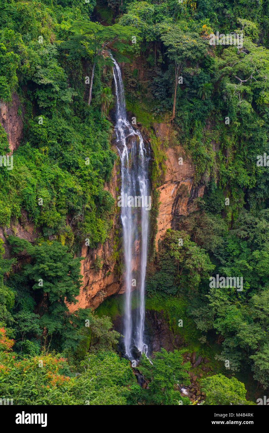 Livingstonia hi-res stock photography and images - Alamy