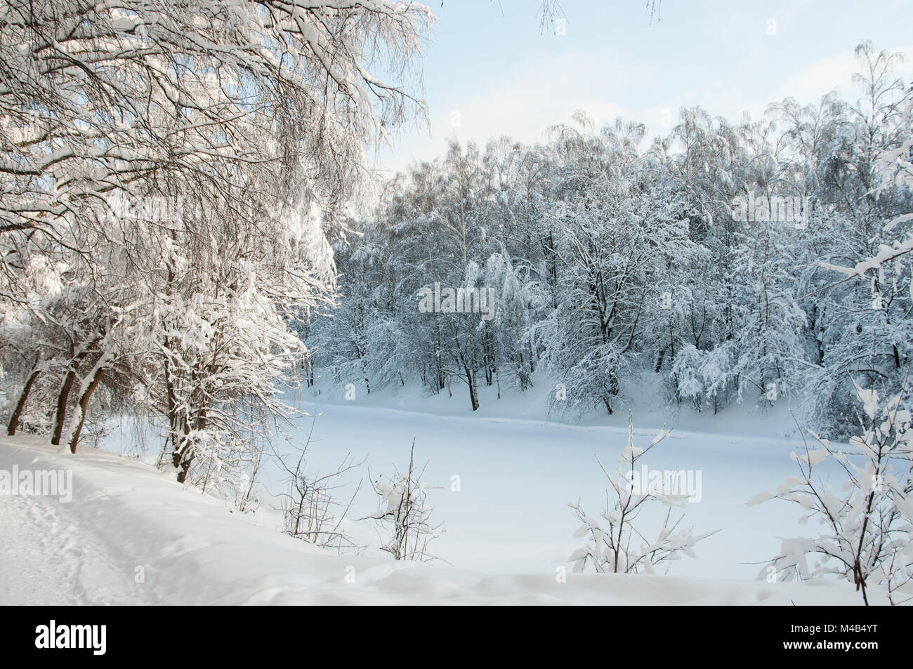 Winter landscape with a park after snowstorm Stock Photo - Alamy