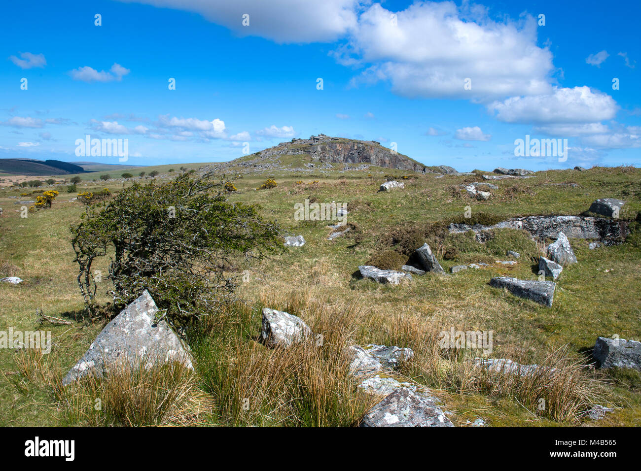 Distant view of the Cheesewring on Bodmin Moor, Cornwall, England, UK ...