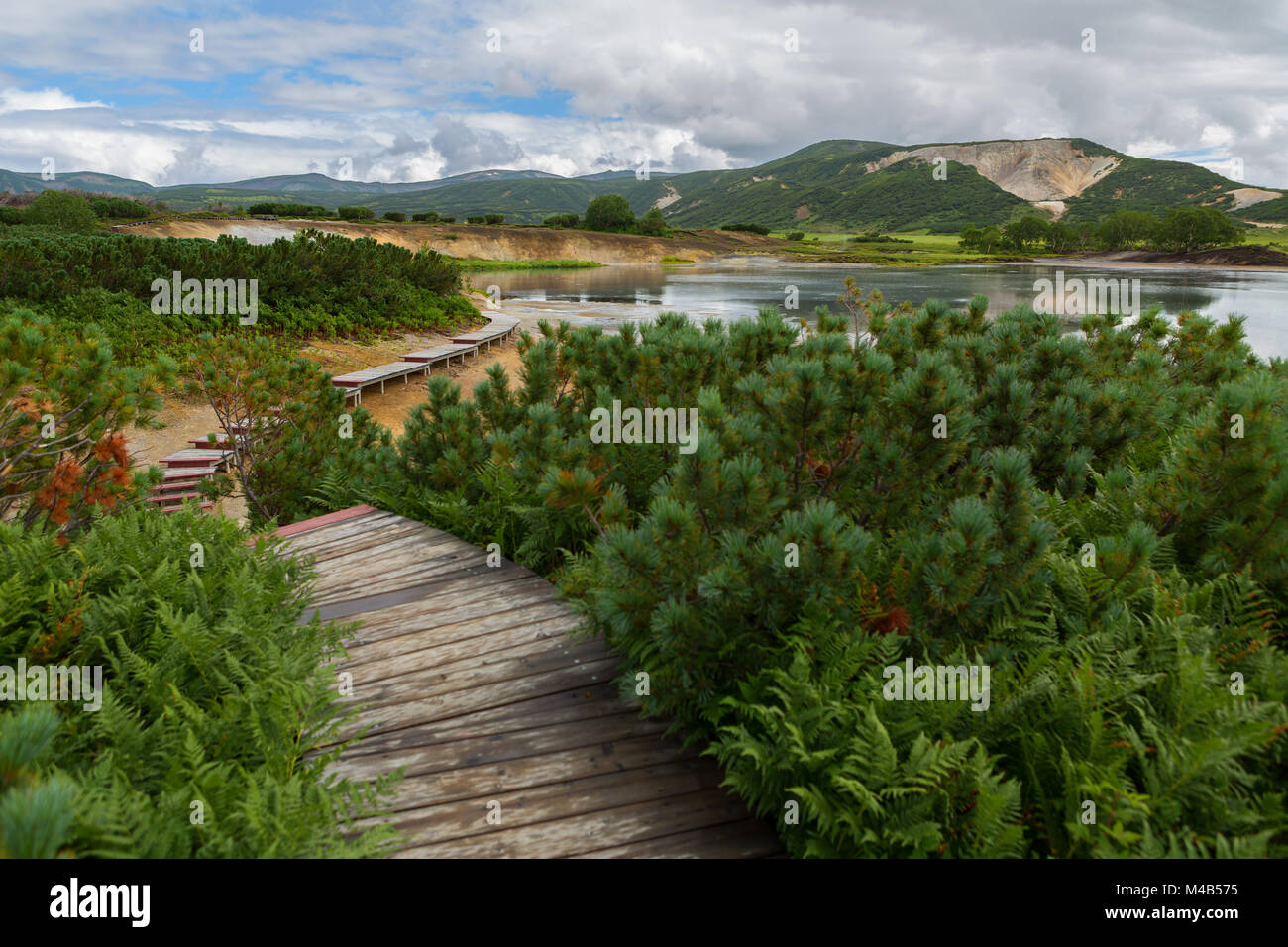Wooden path in the Uzon Caldera. Kronotsky Nature Reserve Stock Photo ...