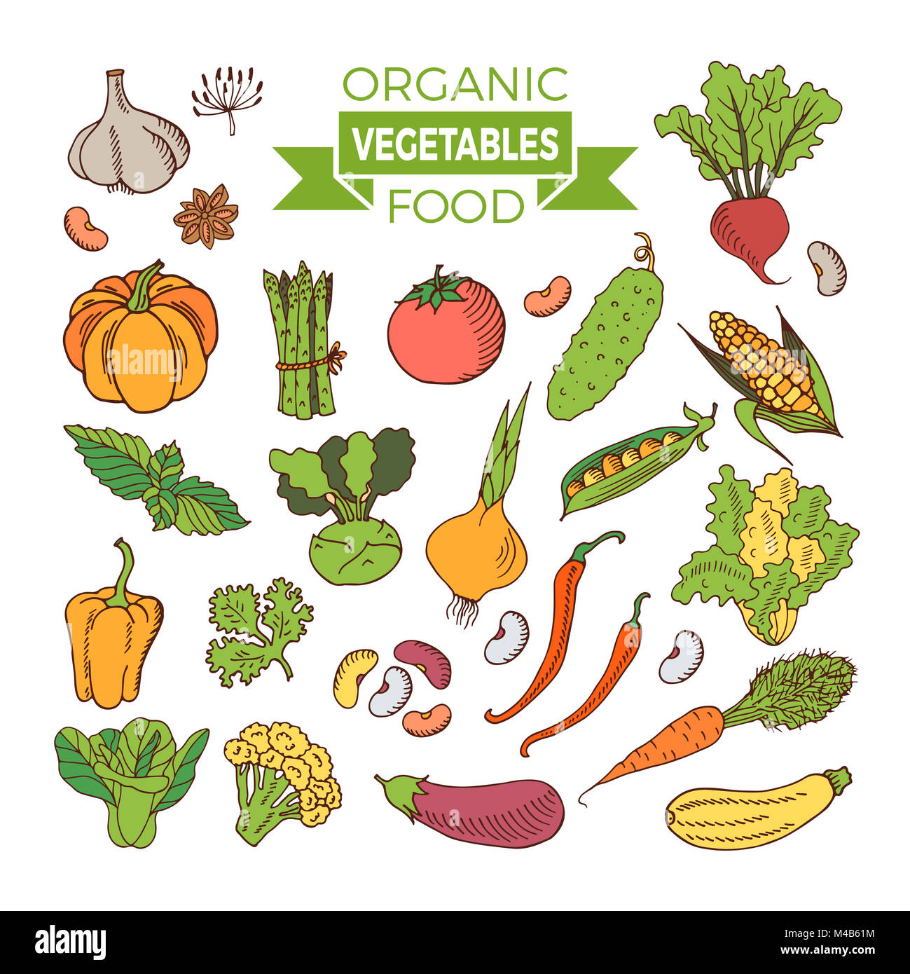 set of colored vegetables Stock Photo - Alamy