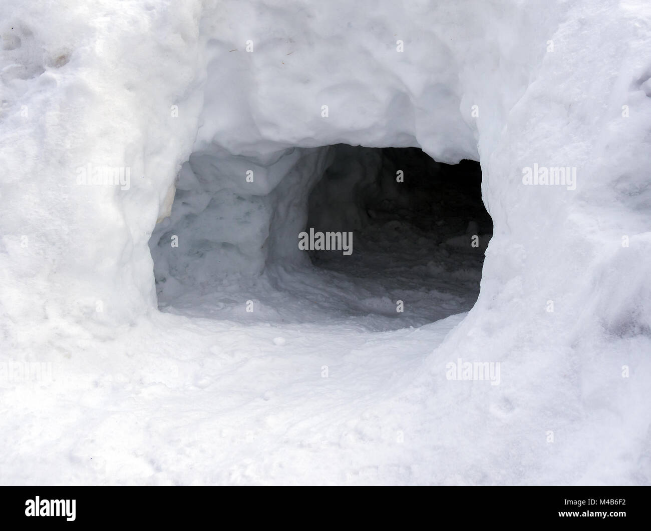 Tunnel dug up in a snowdrift Stock Photo - Alamy