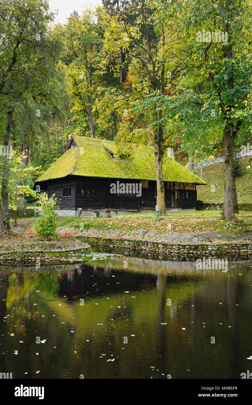Moss on house hi-res stock photography and images - Alamy