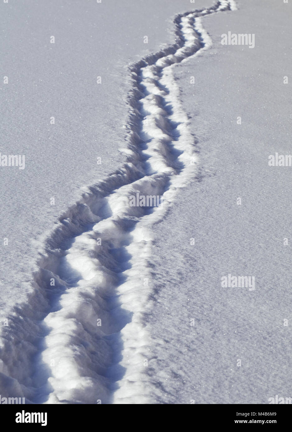 Footsteps in the snow Stock Photo - Alamy