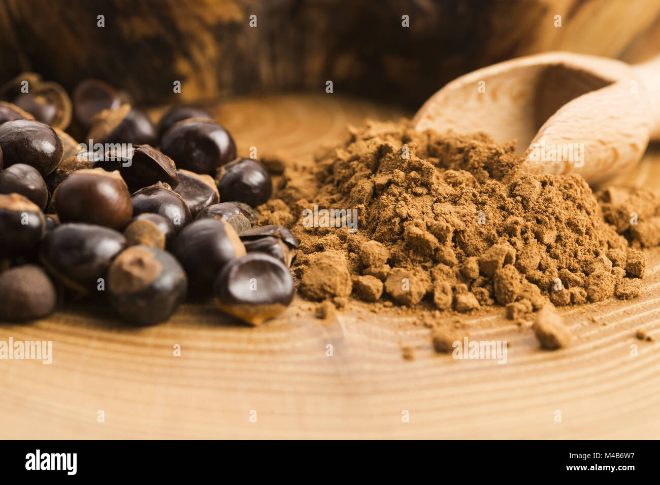 Guarana seeds and powder Stock Photo - Alamy