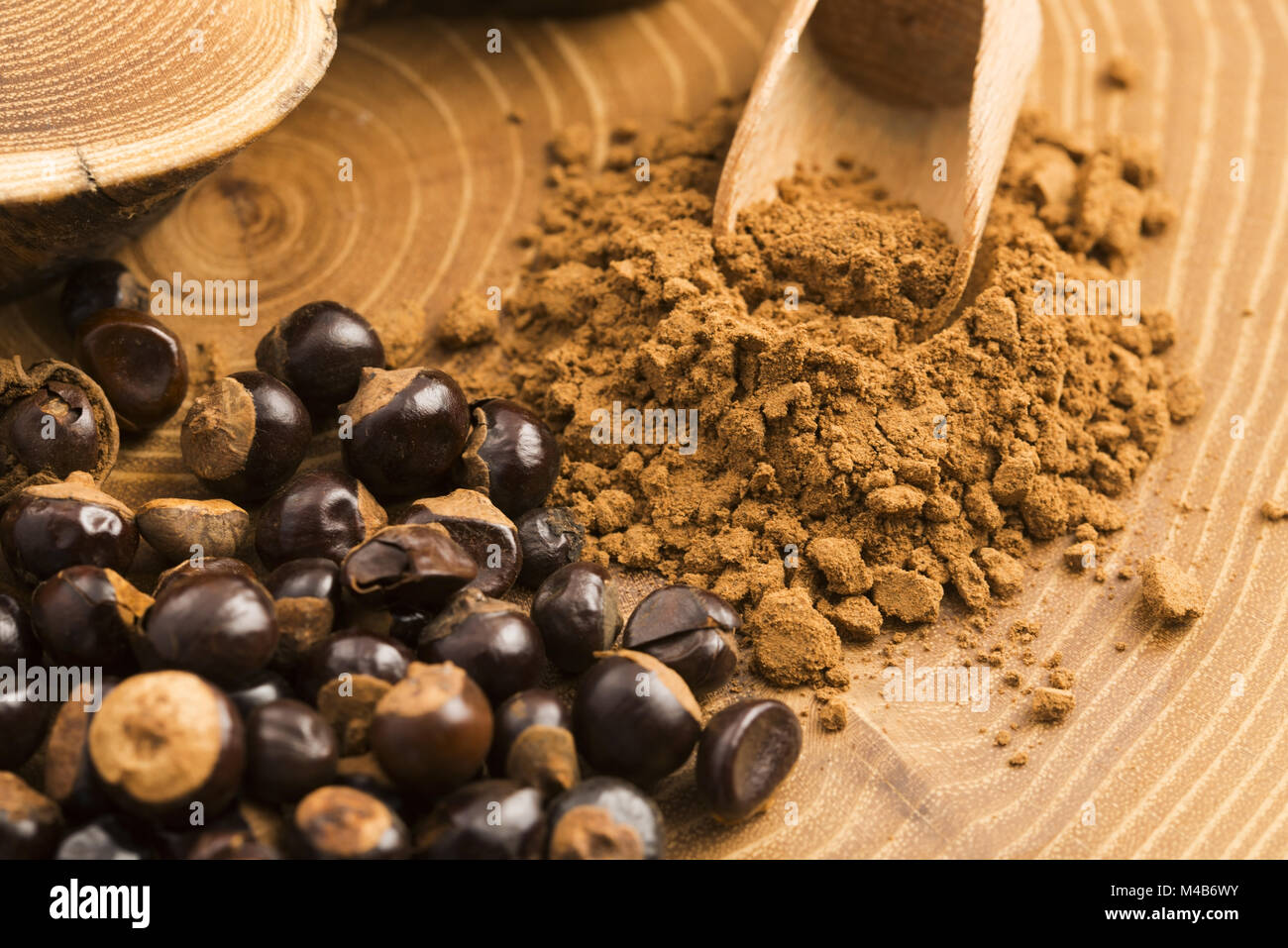 Guarana seeds and powder Stock Photo - Alamy