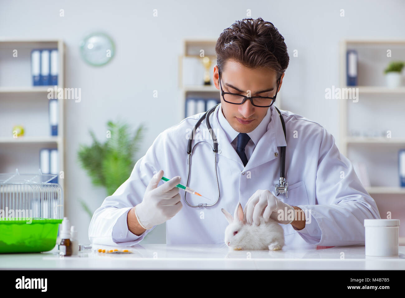 Vet doctor examining rabbit in pet hospital Stock Photo - Alamy