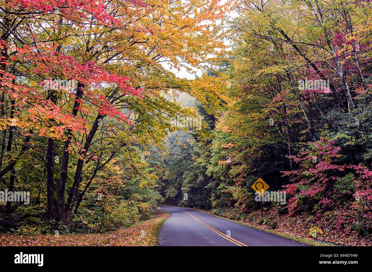 nature scenes on blue ridge parkway great smoky mountains Stock Photo ...
