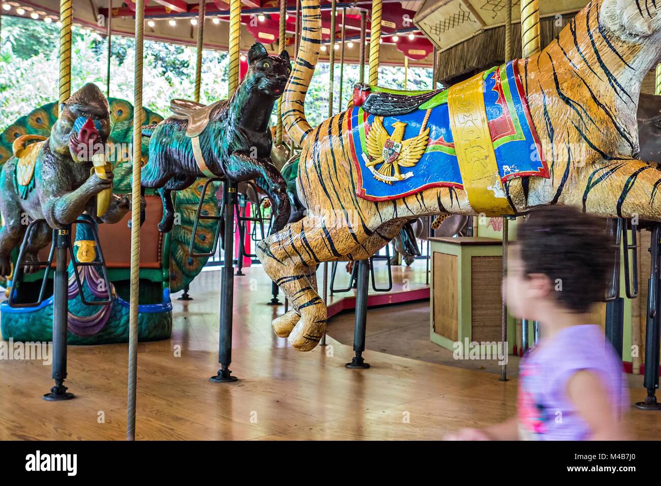 Zoo carousel hi-res stock photography and images - Alamy