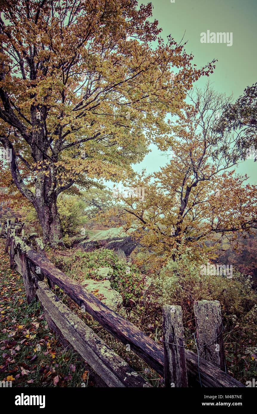 nature scenes on blue ridge parkway great smoky mountains Stock Photo ...
