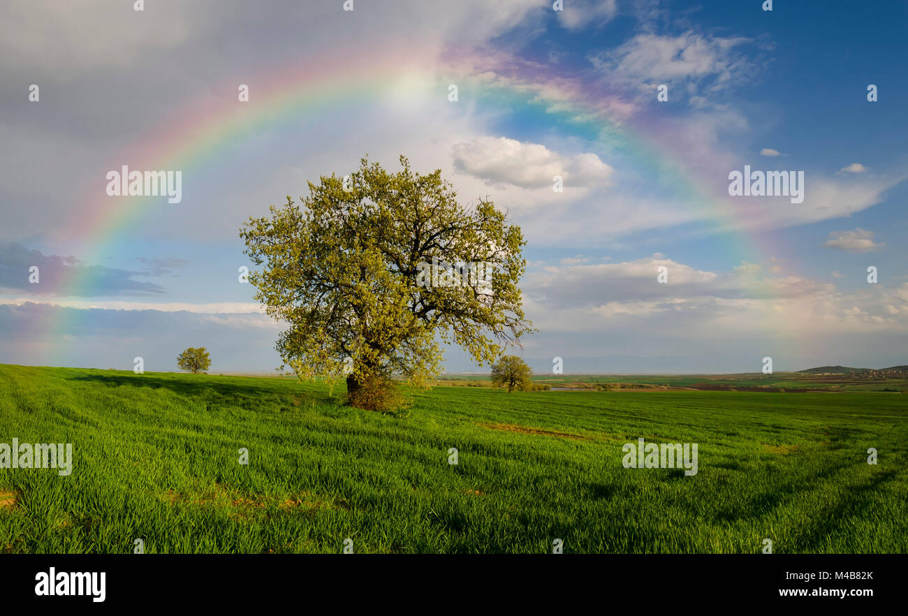 the season of spring Stock Photo - Alamy