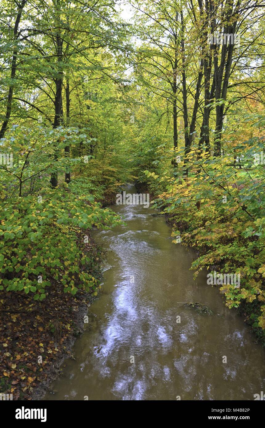 stream course in an autumnally forest Stock Photo - Alamy