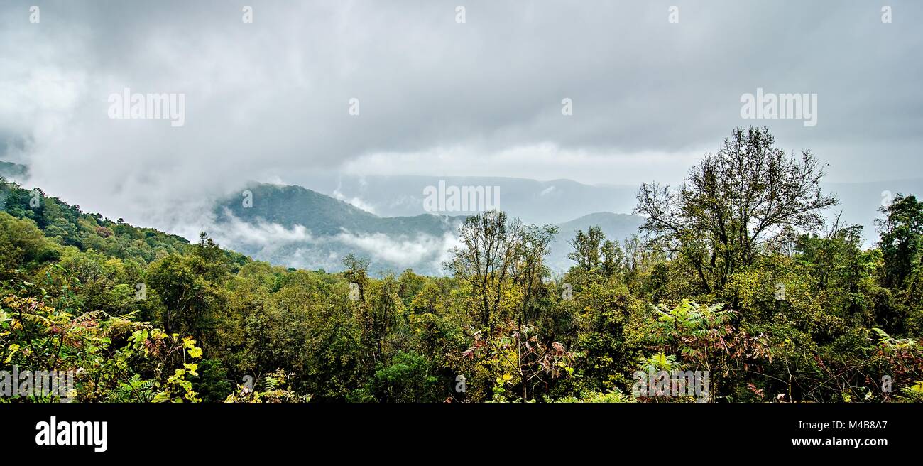 nature scenes on blue ridge parkway great smoky mountains Stock Photo ...